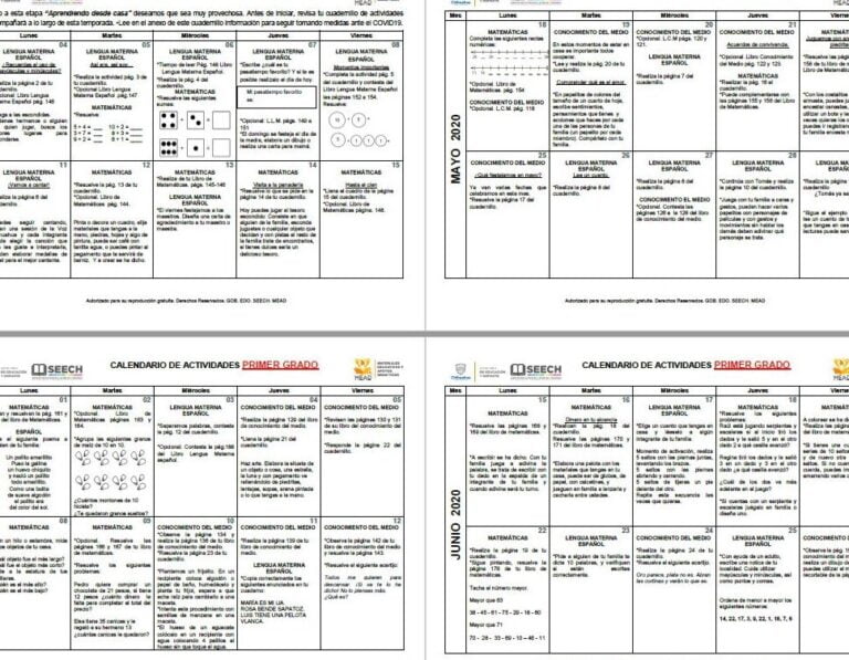 Actividades de Conocimiento del Medio para 1er Grado